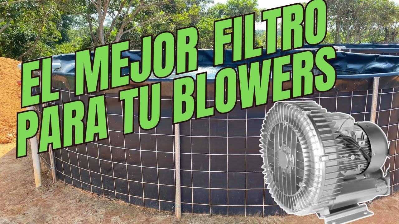 Descubre el mejor Filtro de Aire para Blowers Regenerativos ...