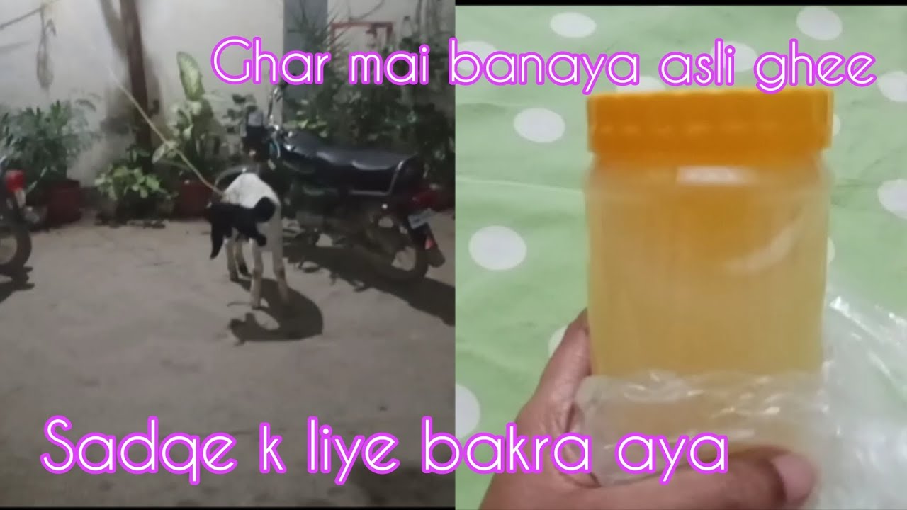 |Sadqay ka bakra aya||Asli ghee Ghar mai banaya||Moona Khan| - YouTube