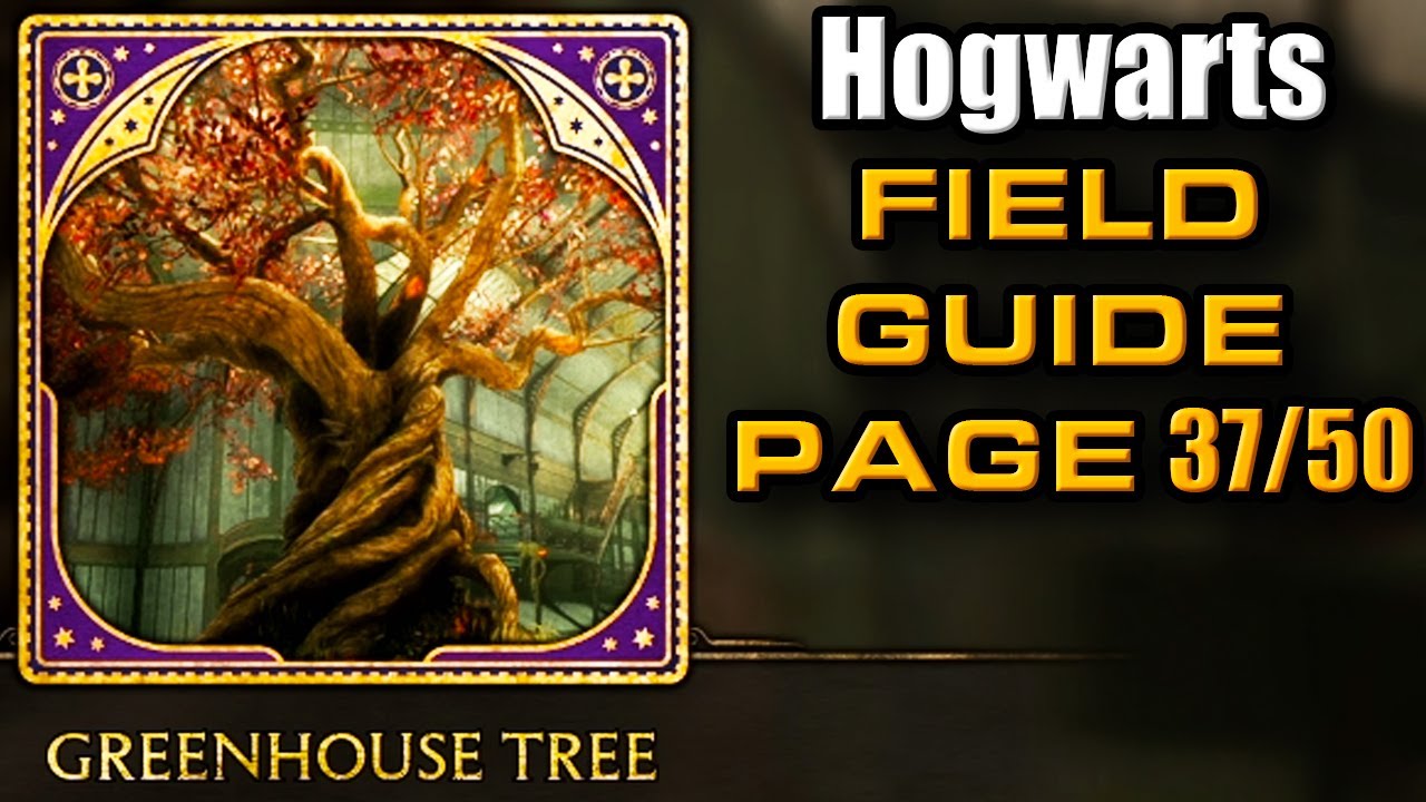 Greenhouse Tree - Hogwarts 37/50 Field Guide Pages | Hogwarts Legacy ...
