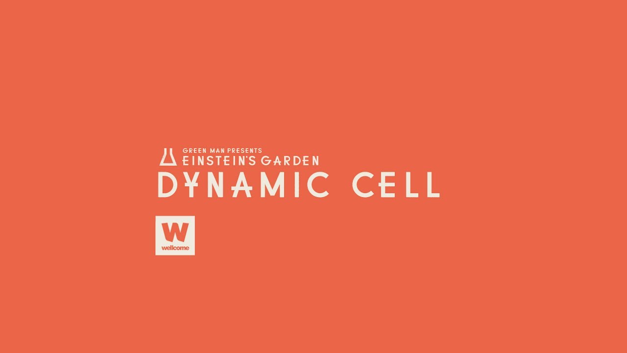 Dynamic Cell - YouTube