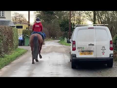 Molly hacking alone - YouTube