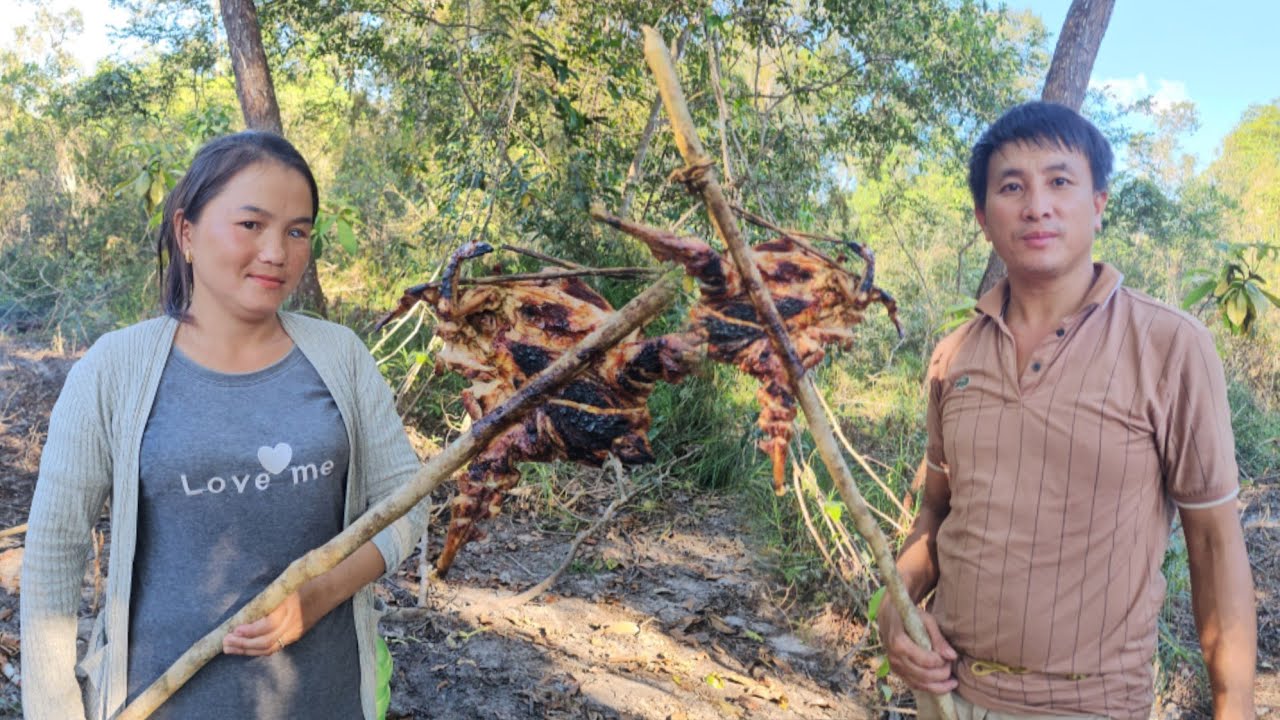 siv yuav tau16 lub xyoo Nov yog thawj zaug ntawm wb noj qaib ci. 14.11 ...