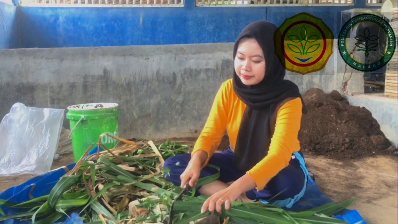 PEMBUATAN DAN PEMANFAATAN PUPUK ORGANIK DARI LIMBAH KOTORAN KAMBING ...