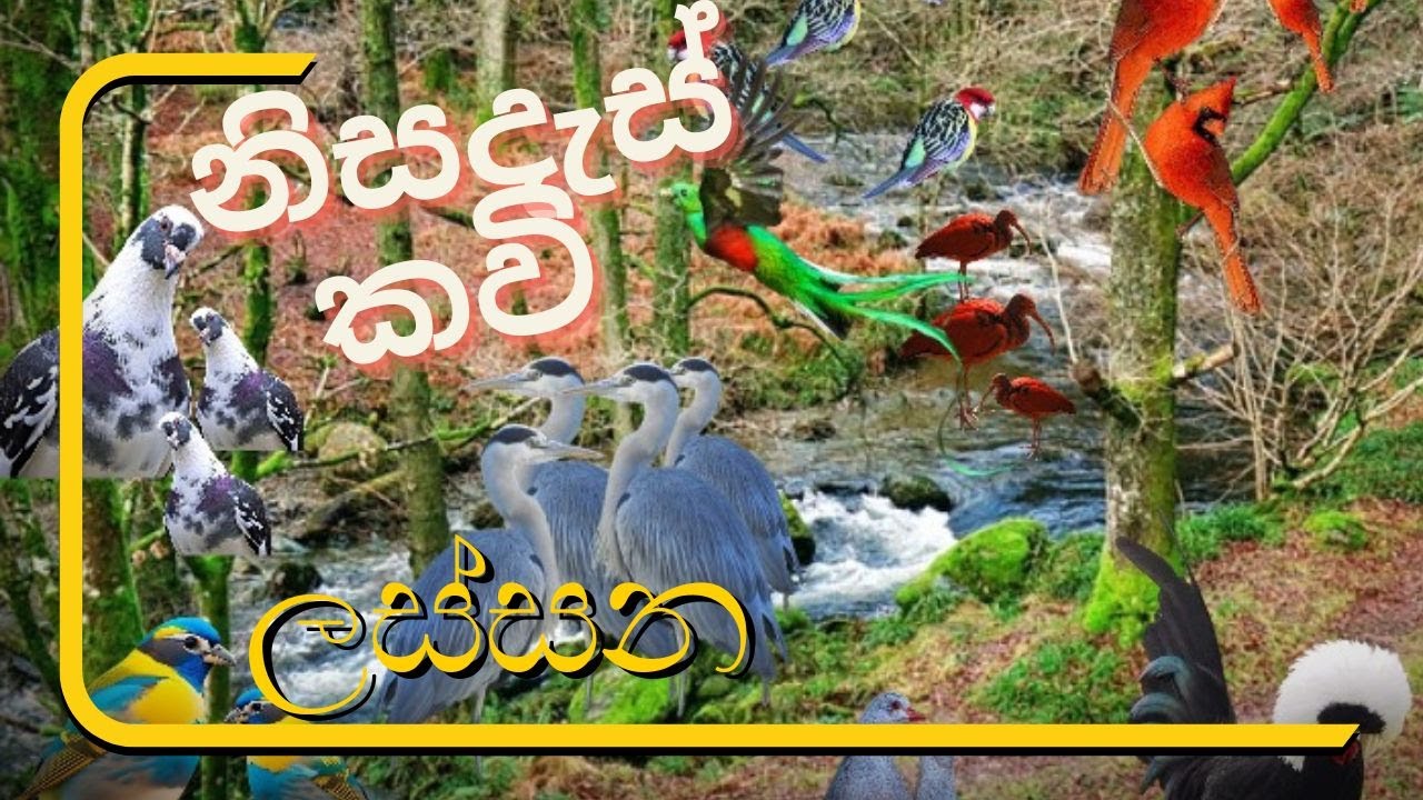 සොබාදමේ රූ විසිතුරු කෙසේ නම් රැකගමුද? - නිසඳැස් කවි /Sinhala Nisadas ...
