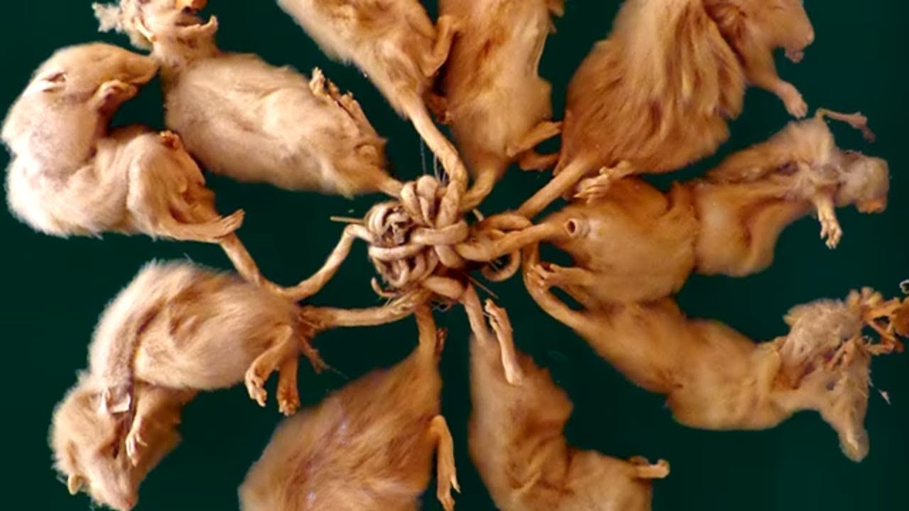 Most MYSTERIOUS and Unexplained Artifacts - YouTube