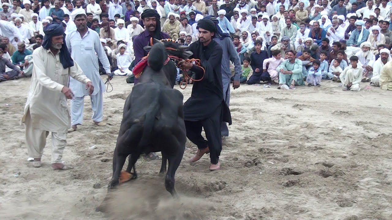Besakhi Mela In Punjab Pakistan Mela Owner Koro Soohiya kot Sultan 2024 ...