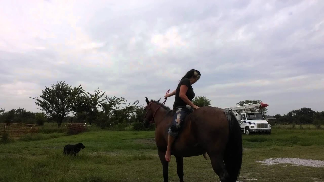 Hollie Girl again me riding her bareback.... - YouTube