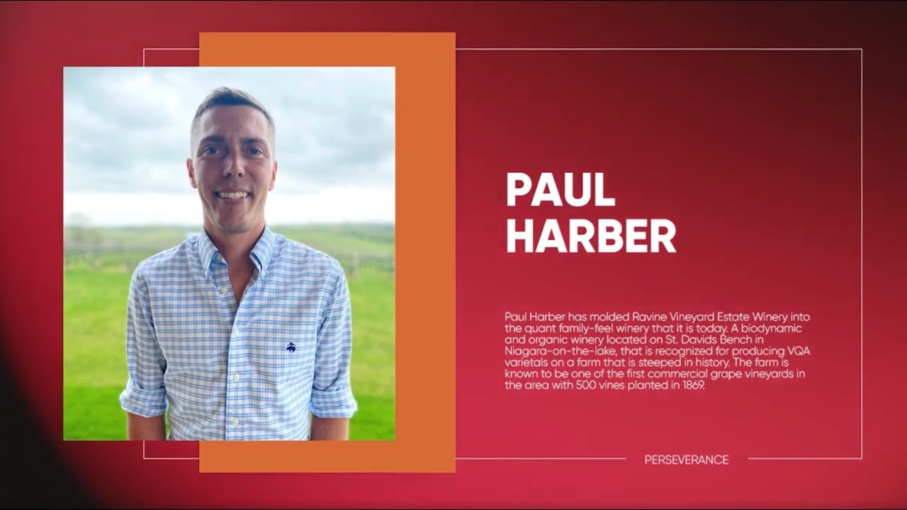 2020 Niagara’s 40 Under Forty Awards Winners' Moments-Paul Harber - YouTube