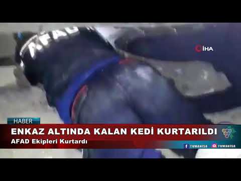 Enkaz altında Kalan Kedi Kurtarıldı