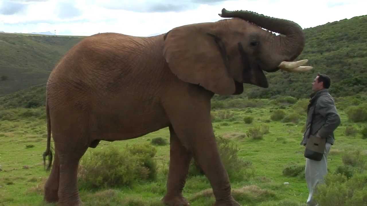 Moketsi's Redemption - YouTube