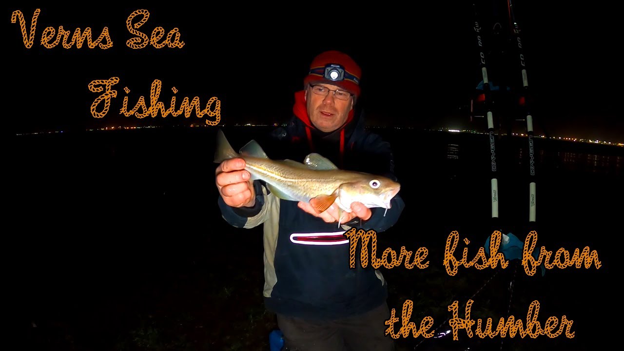 VERNS SEA FISHING | CATCHING CODLING MAKES LIFE BETTER WITH THE NORFOLK ...