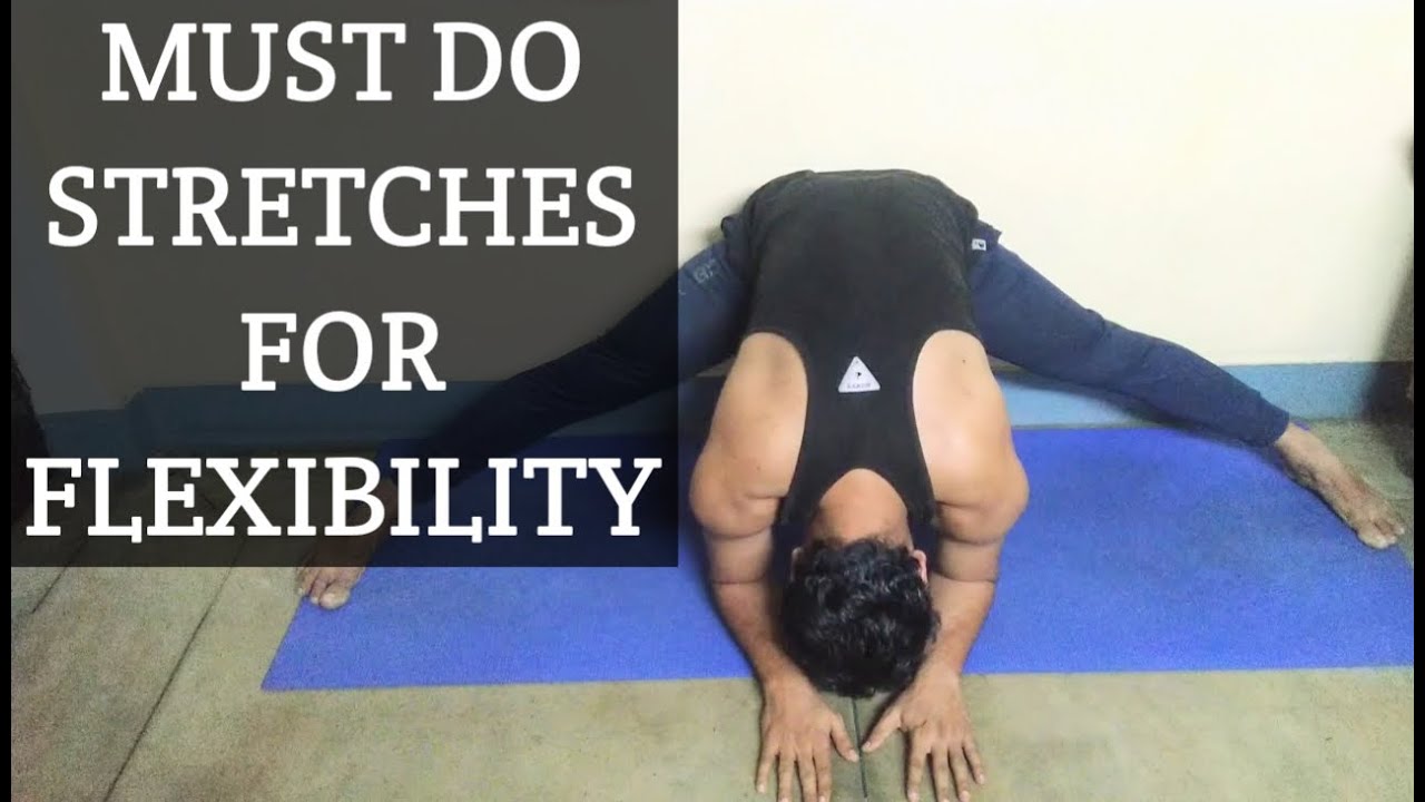 Stretching exercises you Must do Daily for Flexibility & Mobility(Total ...