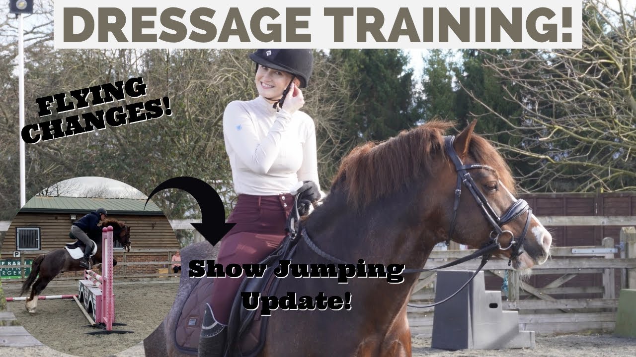 FLYING CHANGES! DRESSAGE TRAINING & SHOW JUMPING UPDATES - YouTube