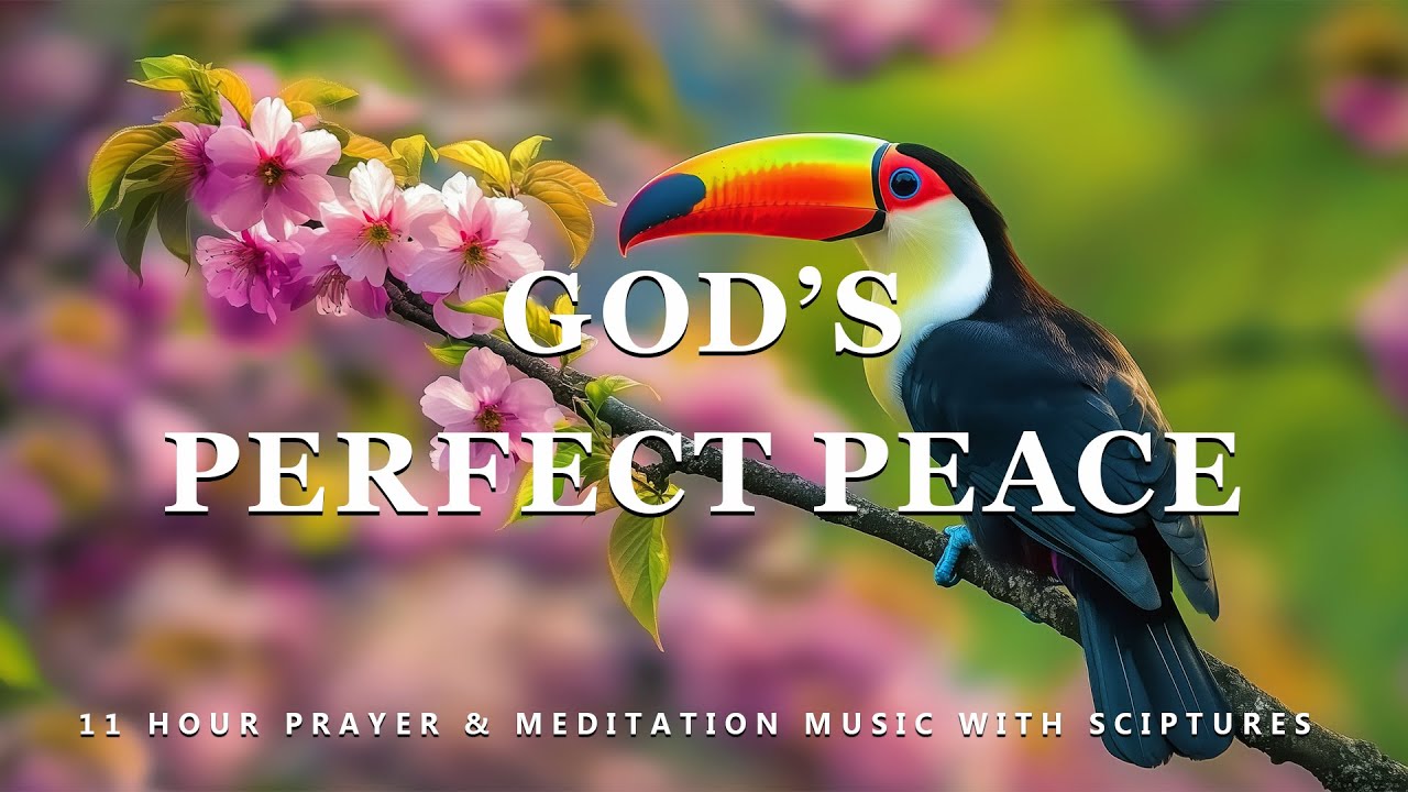 God's Perfect Peace: Instrumental Worship and Scriptures with Birds 🕊 ...