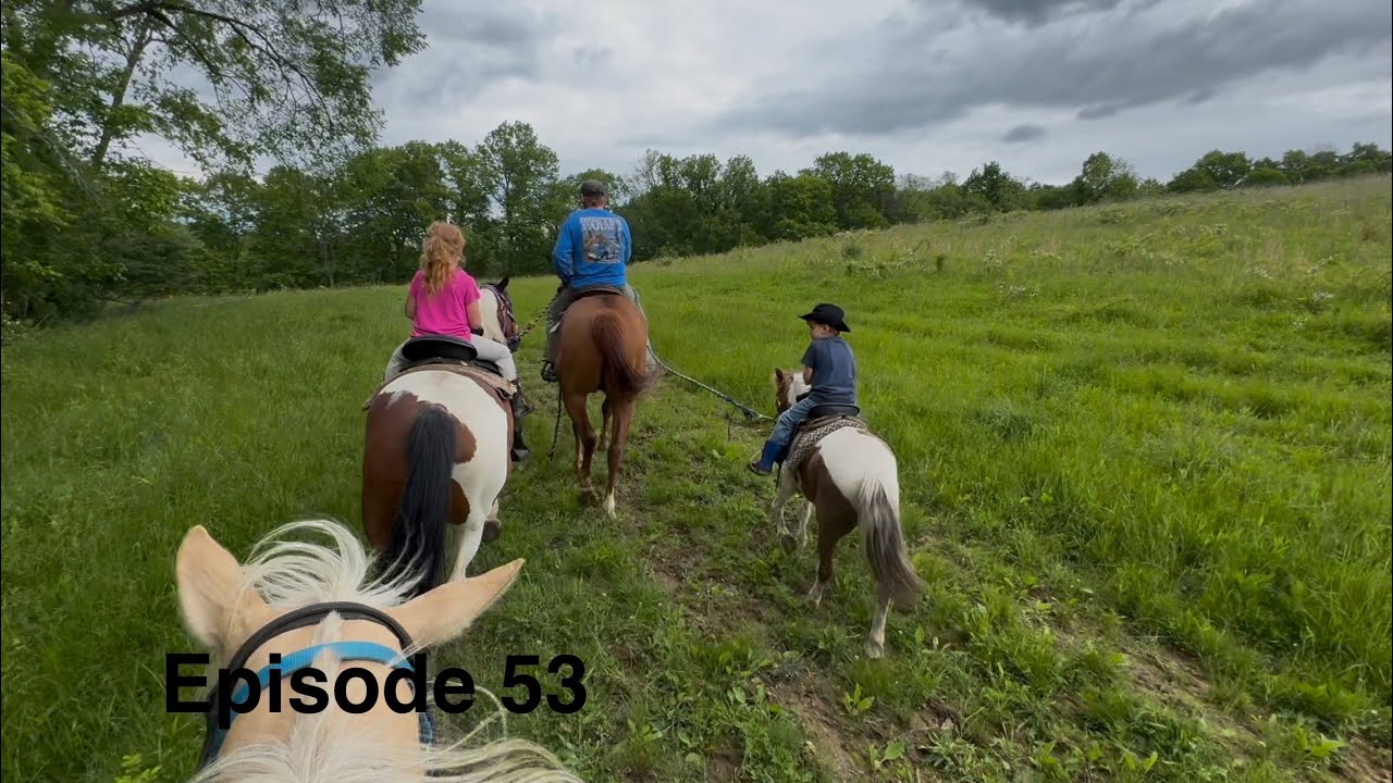 A lazy afternoon, riding horses - YouTube