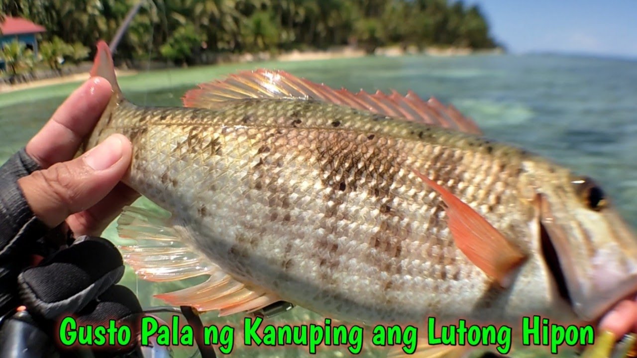 Northern Samar Anglers Club Fishing Adventure | San Antonio N. Samar ...