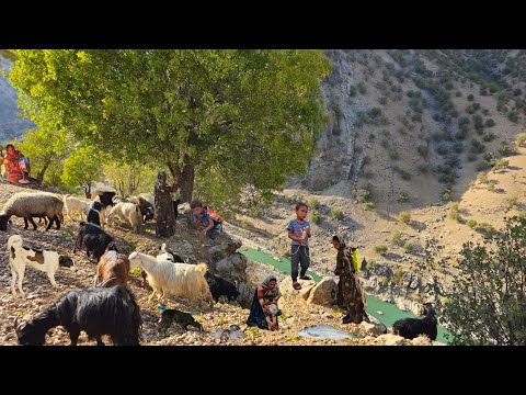 Göçebe hayatı | Güzel göçebe kızlara çobanlık 🐐| Vahşi nehir kenarında göçebe hayatta kalma 🐟