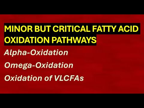 Alpha, Omega & VLCFA Oxidation – The Forgotten But High-Yield Fat ...