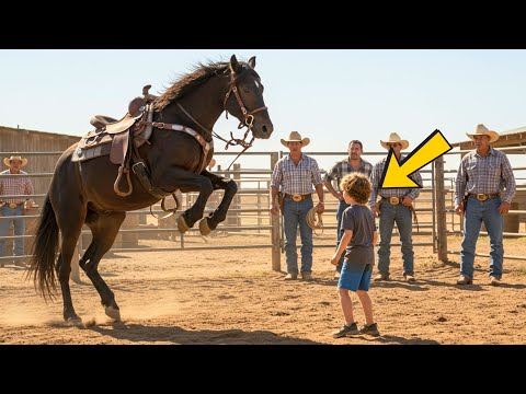MILLONARIO APOSTÓ QUE NADIE DOMARÍA SU CABALLO — HASTA QUE UN NIÑO DE LA CALLE SORPRENDIÓ A TODOS!