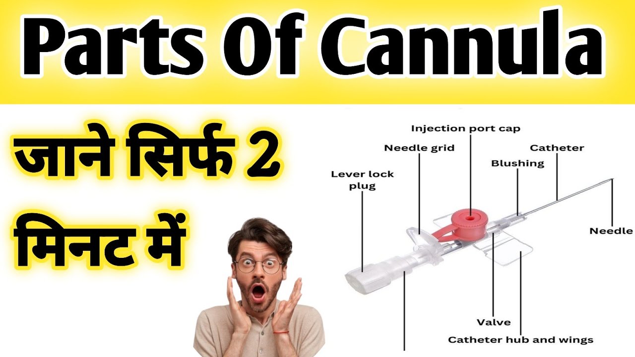 IV cannula Parts & uses | Iv cannula | Intravenous cannula | iv cannula ...