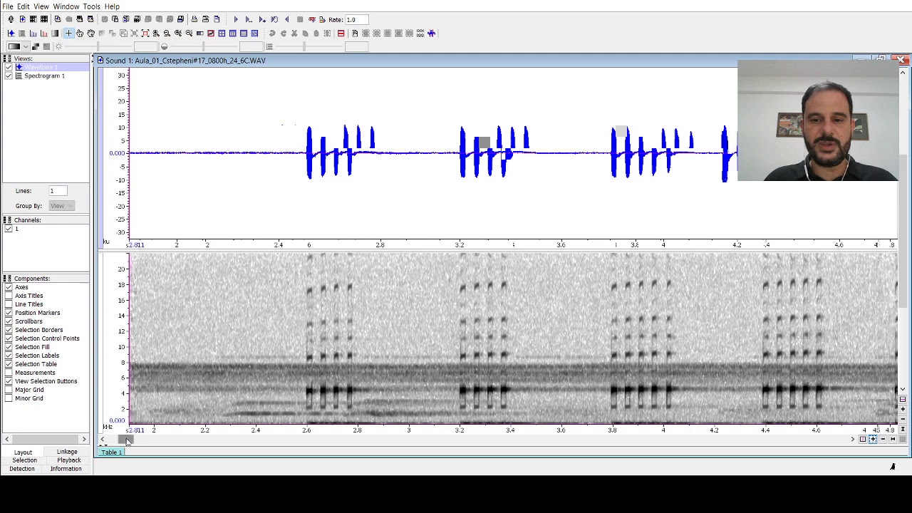 Introdução a análises bioacústicas usando o Raven - Aula 01 - YouTube