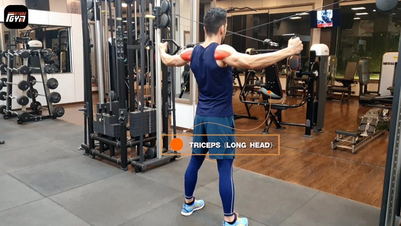 Standing Cable Rear Delt Fly - YouTube