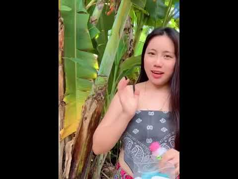 da dej 2021, hluas nkauj hmoob toj siab mus da dej 2021 # 271 - YouTube