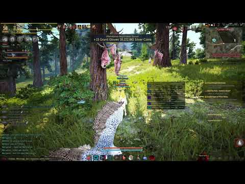 Where To Farm Pine Timber Bdo