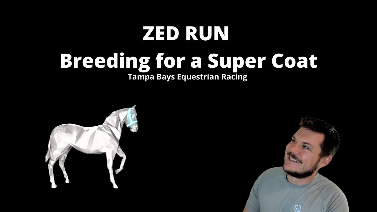 Zed Run - Breeding for a Super Coat- Griffin race - YouTube