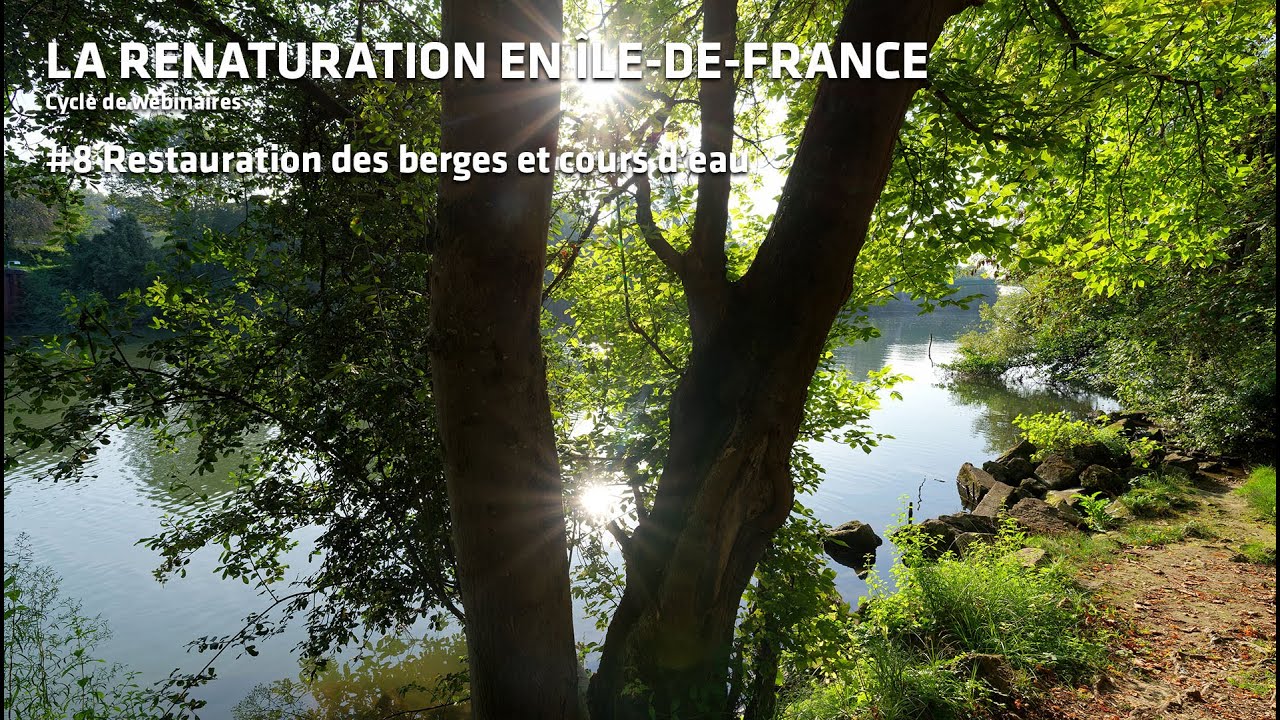 Restauration des berges et cours d’eau - YouTube