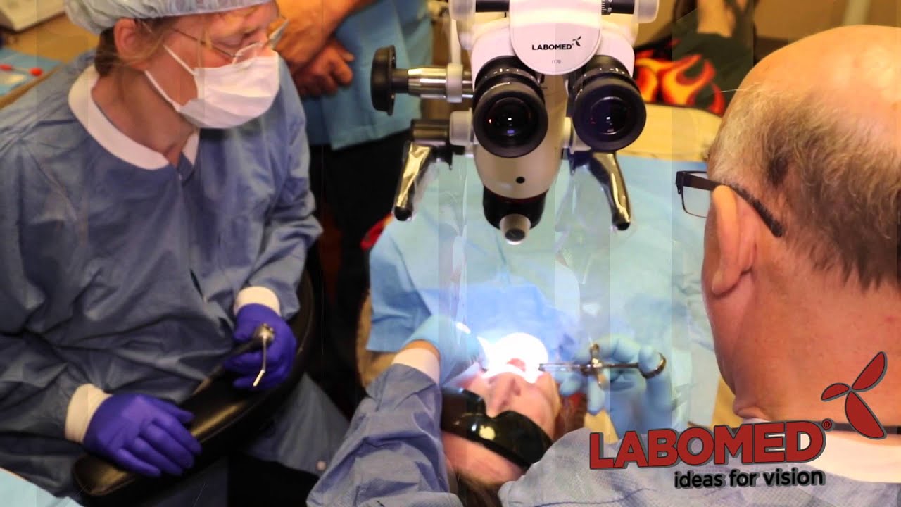 Laboamerica Dental Microscope Labomed Up to 4K - YouTube