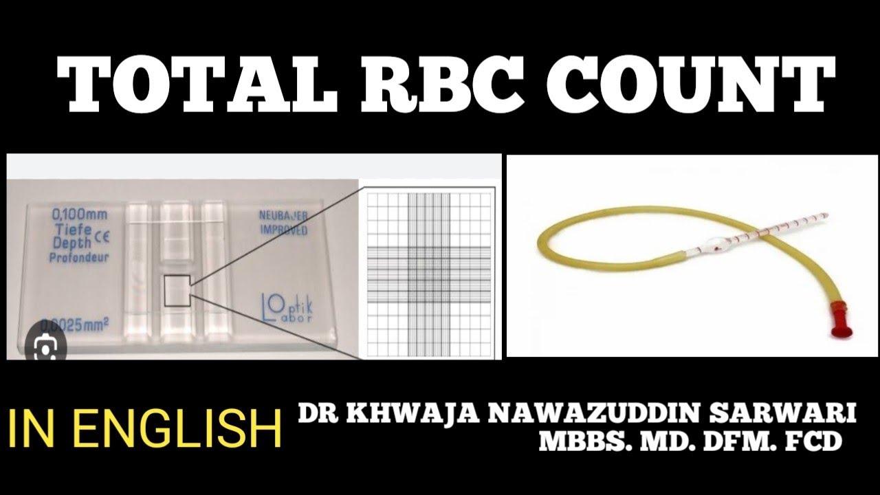 Total RBC COUNT |In English #mbbs #physiology #rbc #rbccount #practical ...