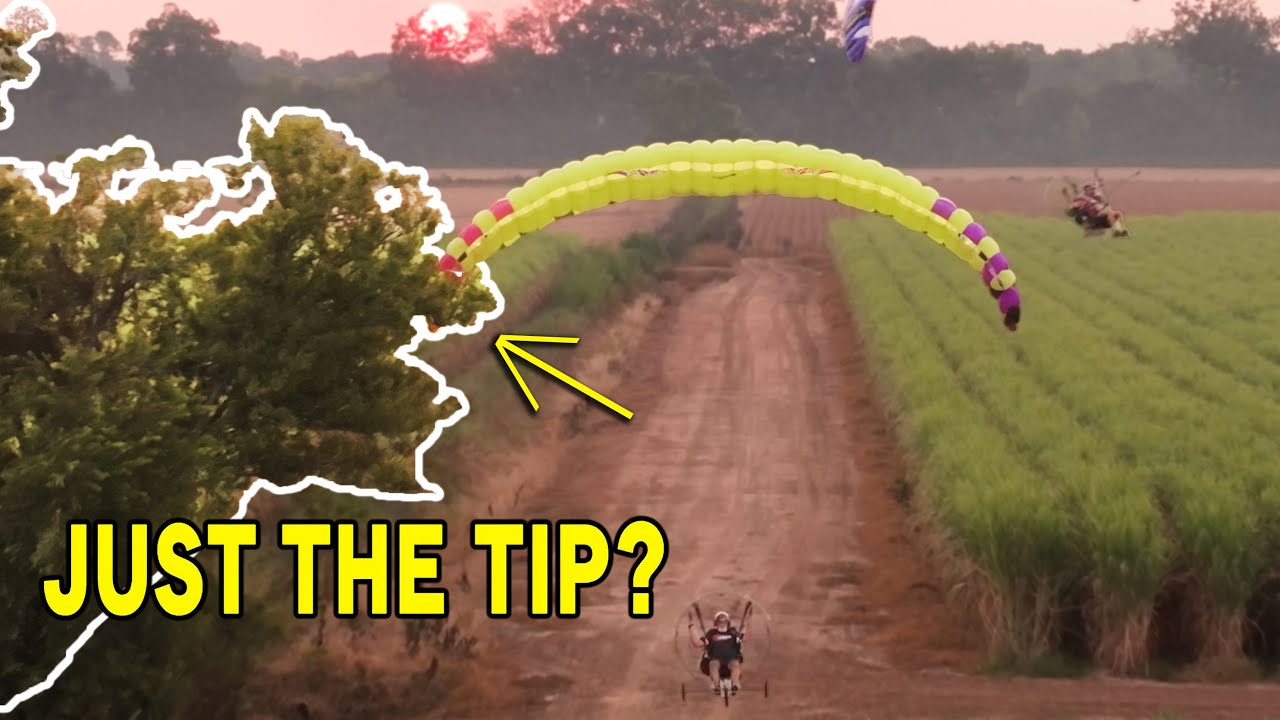 Tree Mayhem: Sunrise Flight PART 1 - YouTube
