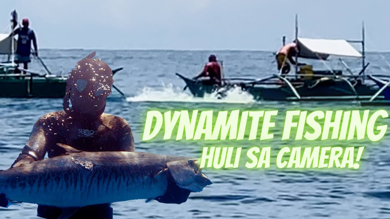 JOY ADVENTURES COLLAB pt.1| DYNAMITE Fishing in CORON!?! Spearfishing ...