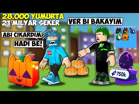 28.000 YUMURTA HUGE PUMPKİN CAT FARUK DA OLSUN ODA İYİ BE!! / Roblox Pet Simulator X  @TRRobloxGame