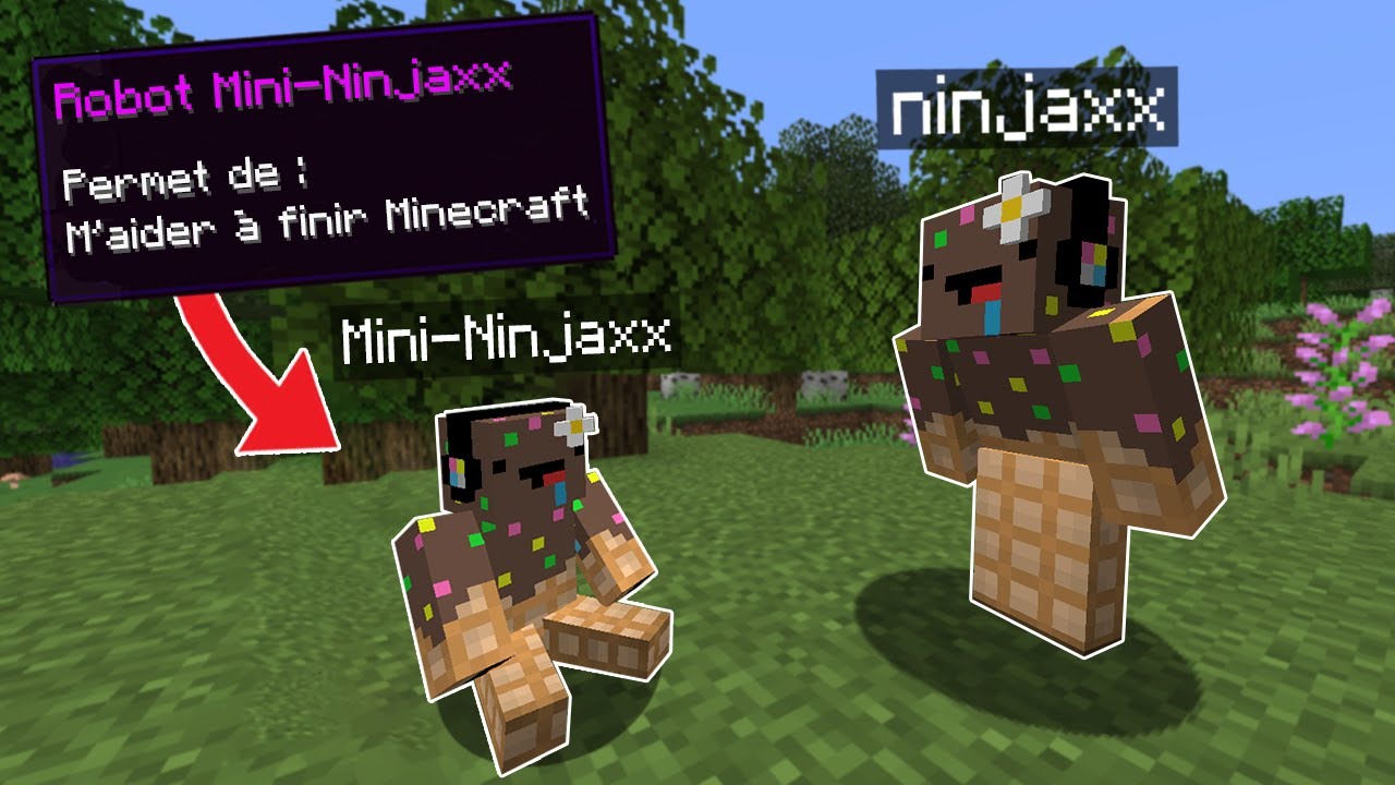 J'ai ajouté un Mini Ninjaxx pour m'aider sur Minecraft.. - YouTube