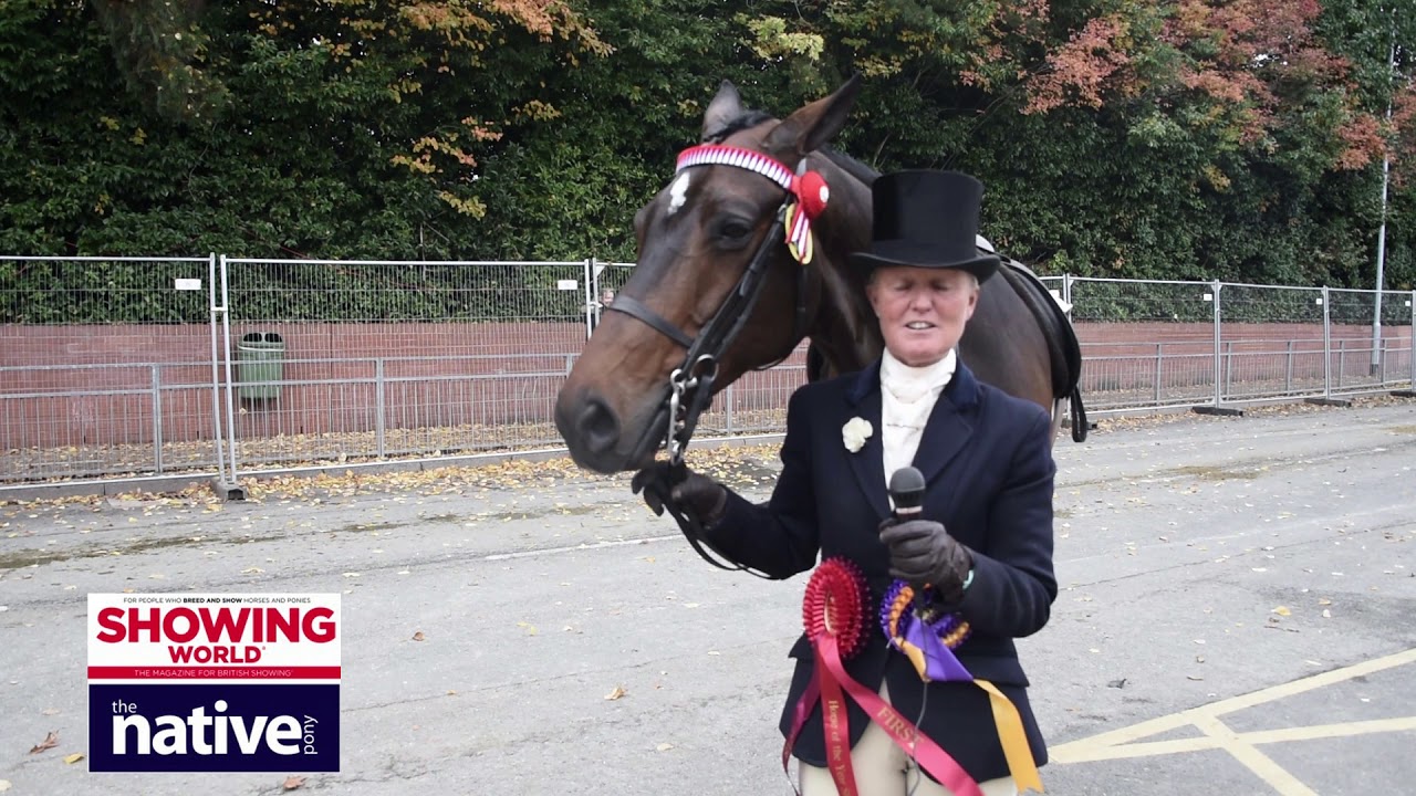 David Stennett Ltd Large Hack of the Year - YouTube