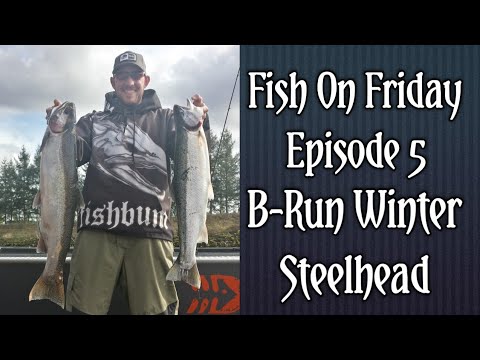 Cowlitz River B-Run Steelhead | Fish on Friday - YouTube