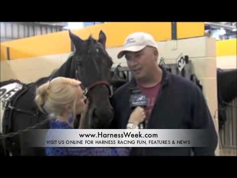 Funny Cute Friendly Horse Crashes TV Interview