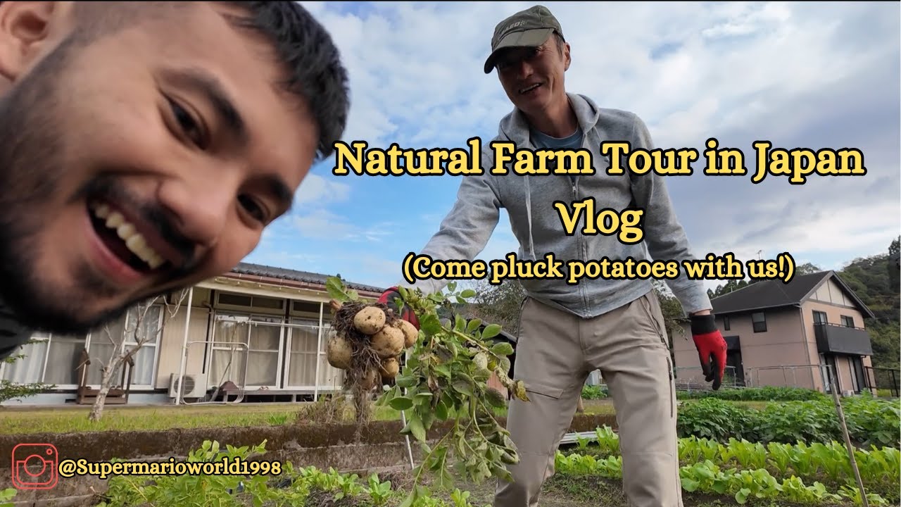 Natural Farm Tour in Japan (Kagoshima) Vlog | Come Pluck Potatoes ...