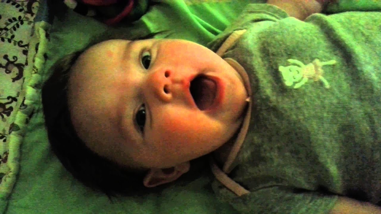 Baby Squeals - YouTube