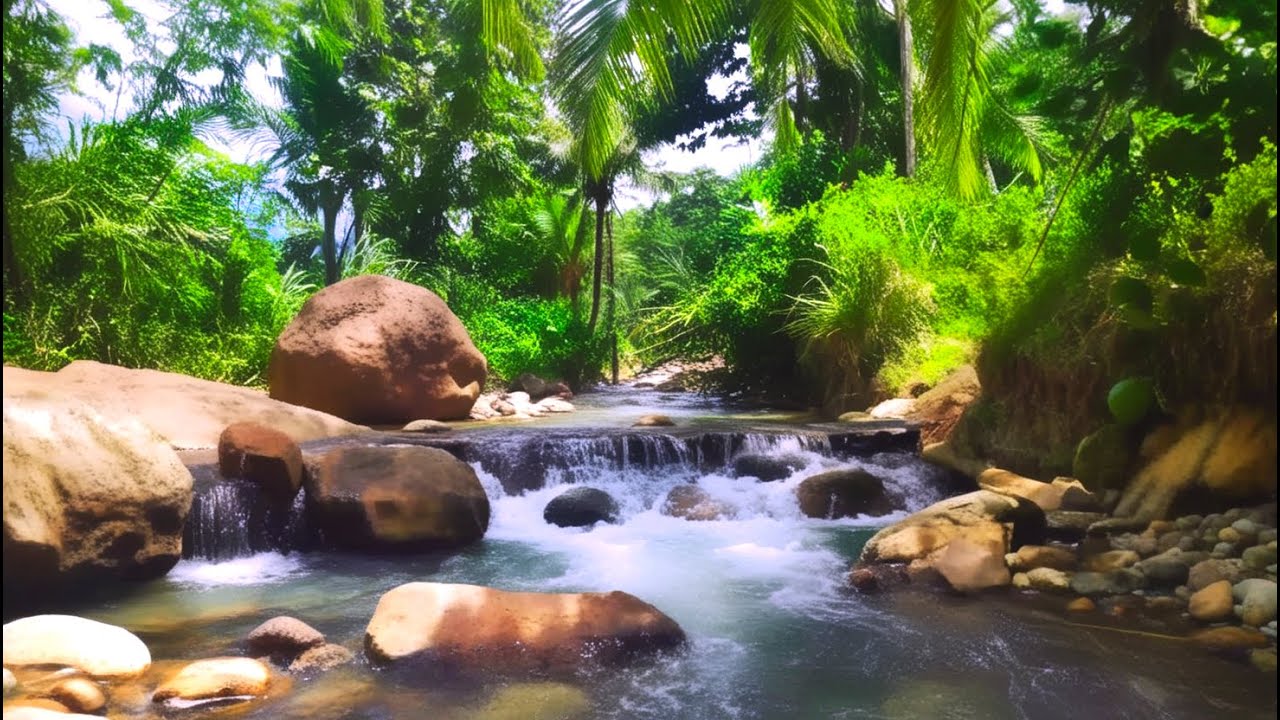 Calming Mountain Stream Surrounded by Green Forest for Meditation and ...