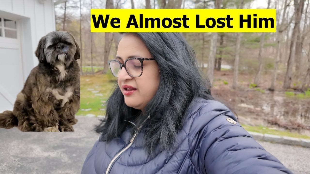 Rex Bhag Gaya Ghar Se ..... Scary Situation Tha | Simple Living Wise Thinking - YouTube