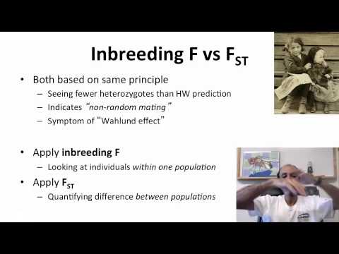 How To Calculate Fst Between Two Populations Population Genetics