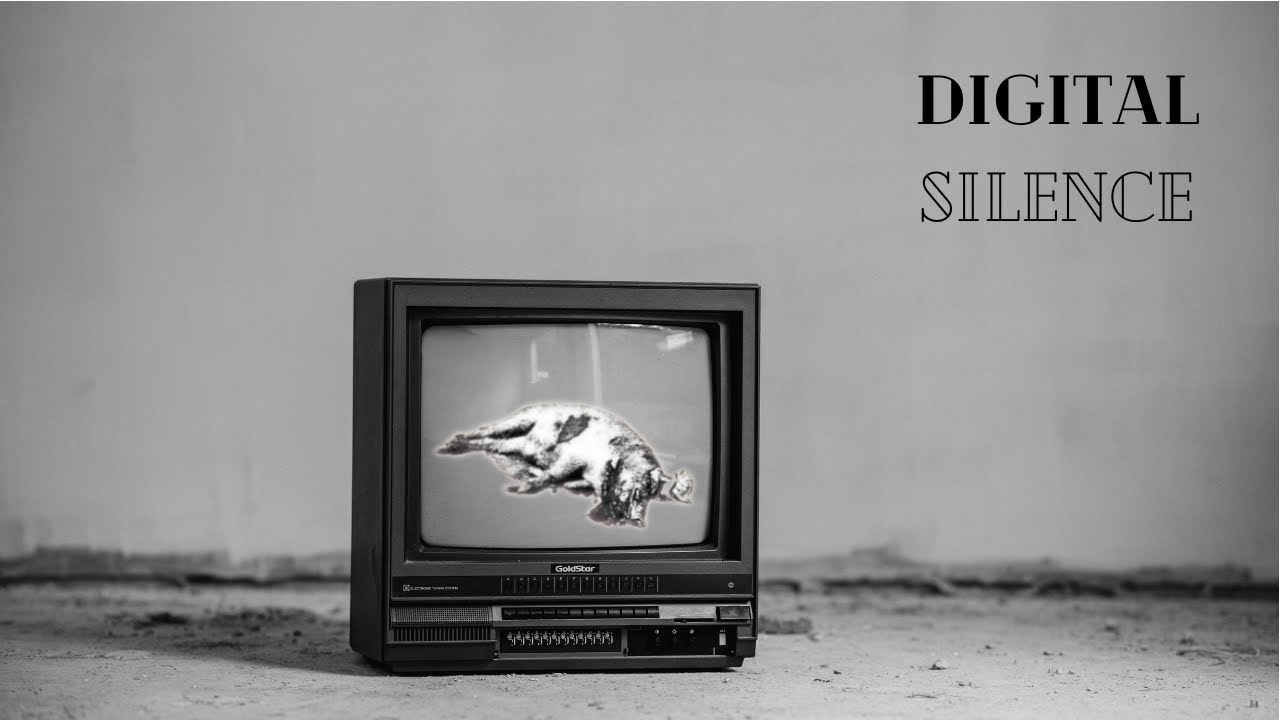 DIGITAL SILENCE | Peter McPoland Cover - YouTube