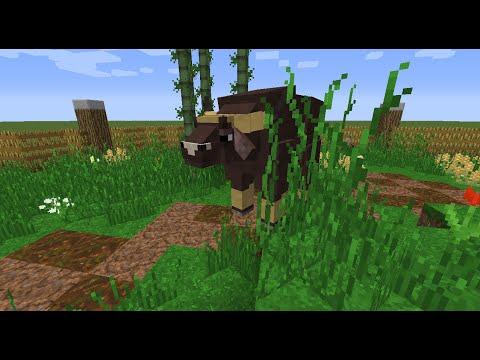 Minecraft Zoo Series Ep 15: Asian Plains and Leopard Cat - YouTube