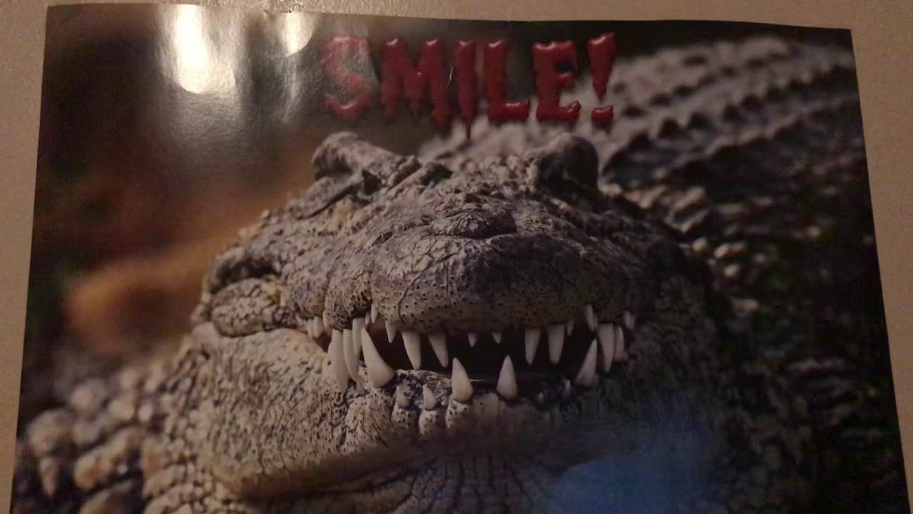 Crocagator Supreme - YouTube