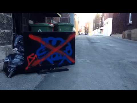 Les agneaux à la TV
