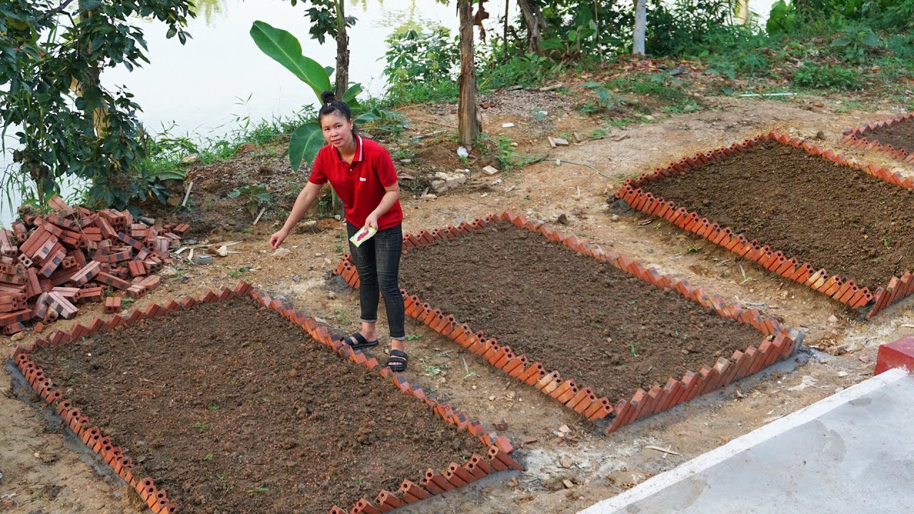 Build Vegetable Beds Out Of Bricks, Sowing vegetable seeds || Building ...