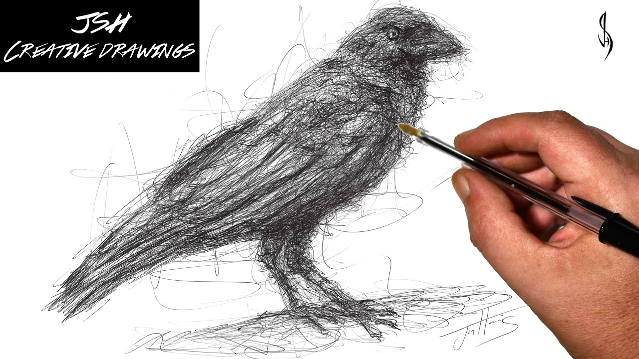 Sketch Drawing a Crow with a BIC Pen | Scribble Technique / Real Time - YouTube